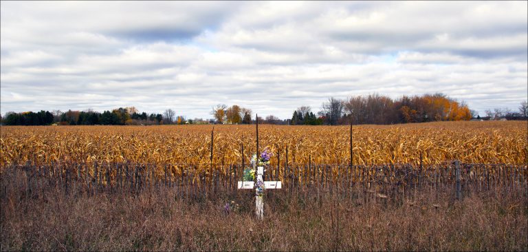 Amanda Nowicki - Wisconsin Roadside Memorials