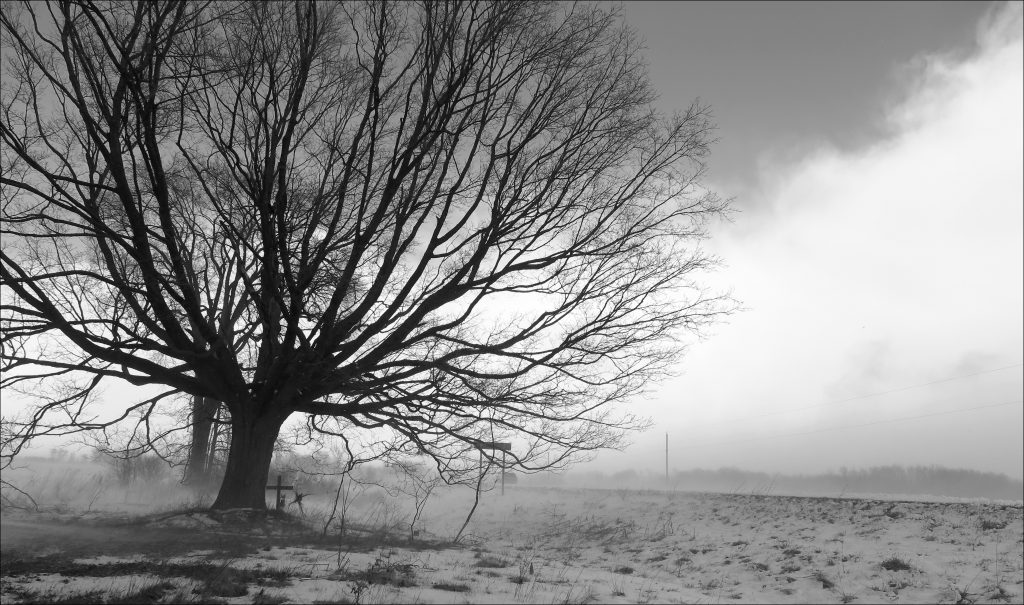 James Dickerson - Wisconsin Roadside Memorials
