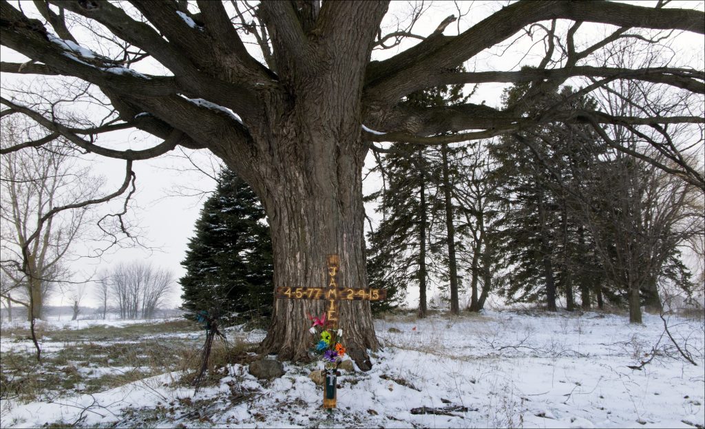 James Dickerson - Wisconsin Roadside Memorials