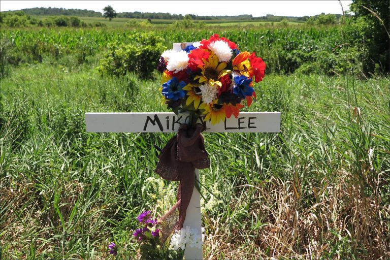 Mickey Lee - Wisconsin Roadside Memorials